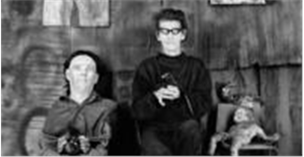 Asylum of the Birds | Museo Macro